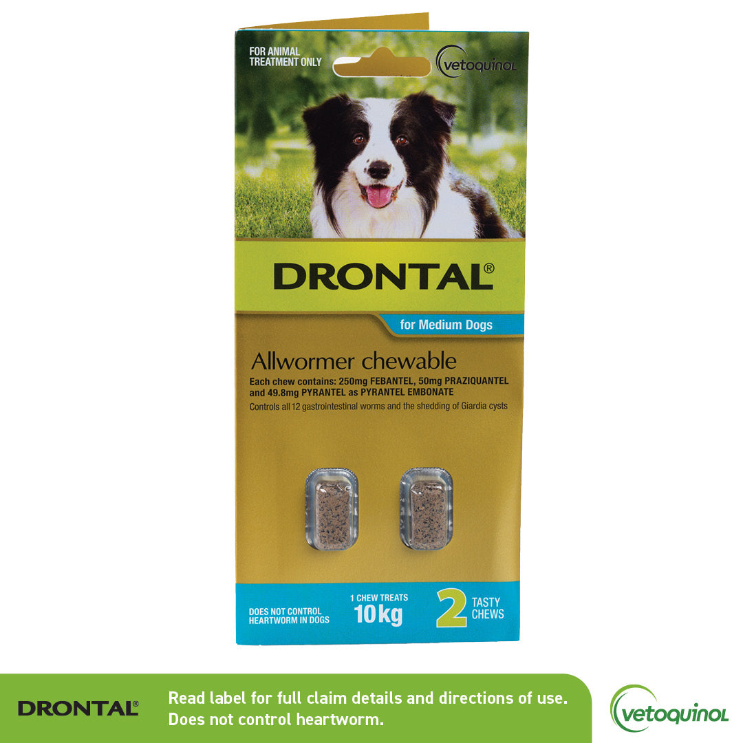 Drontal All Wormer Medium Dog Chews 10kg 2 Pack