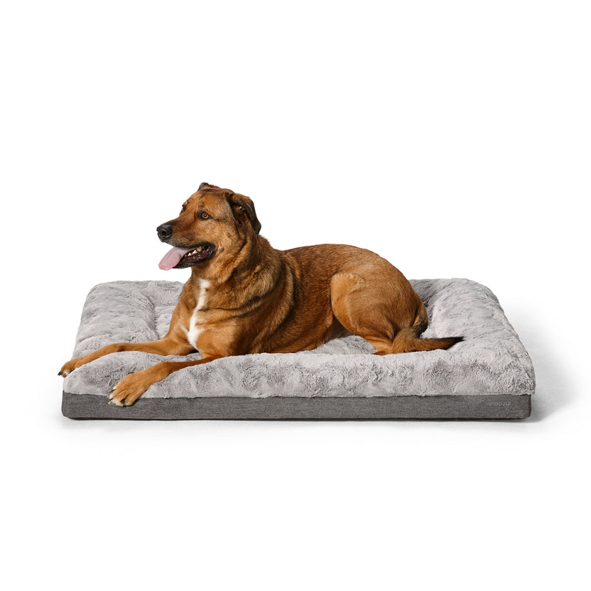 Snooza Ultra Comfort Lounge Dog Bed