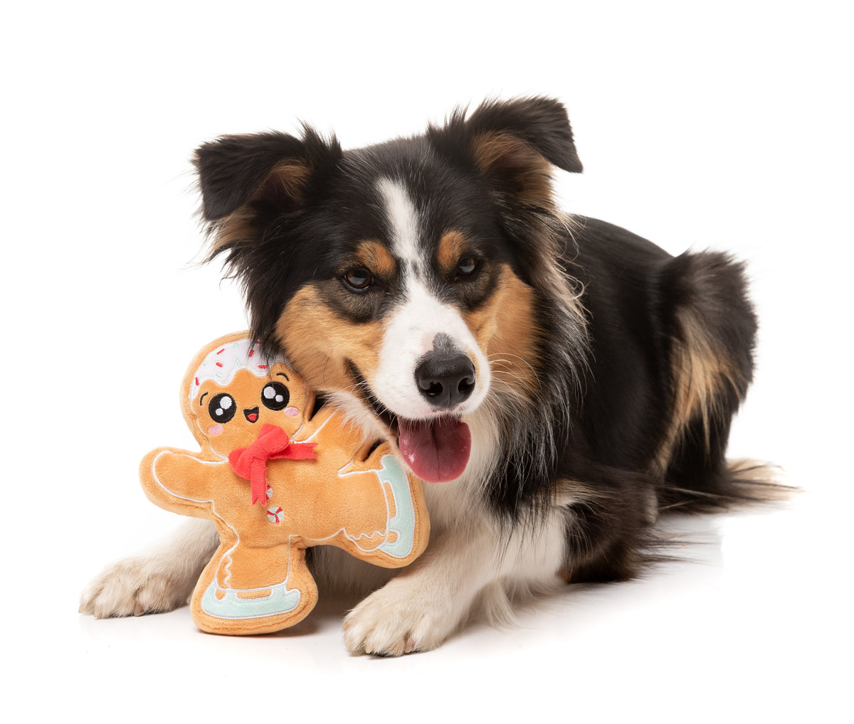 FuzzYard Christmas Biscuit Blader Dog Toy