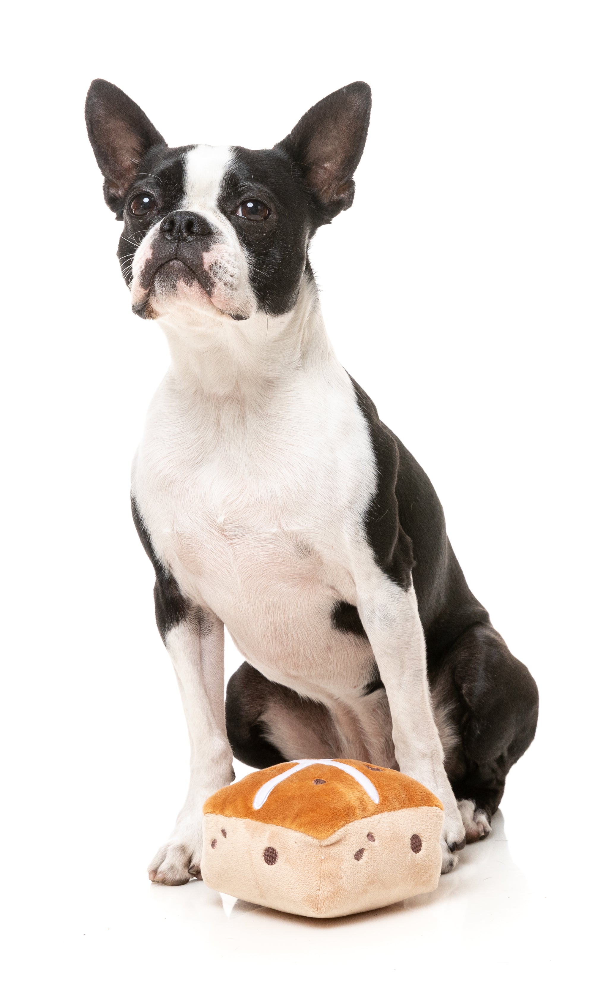 FuzzYard Hot Cross Bun Dog Toy