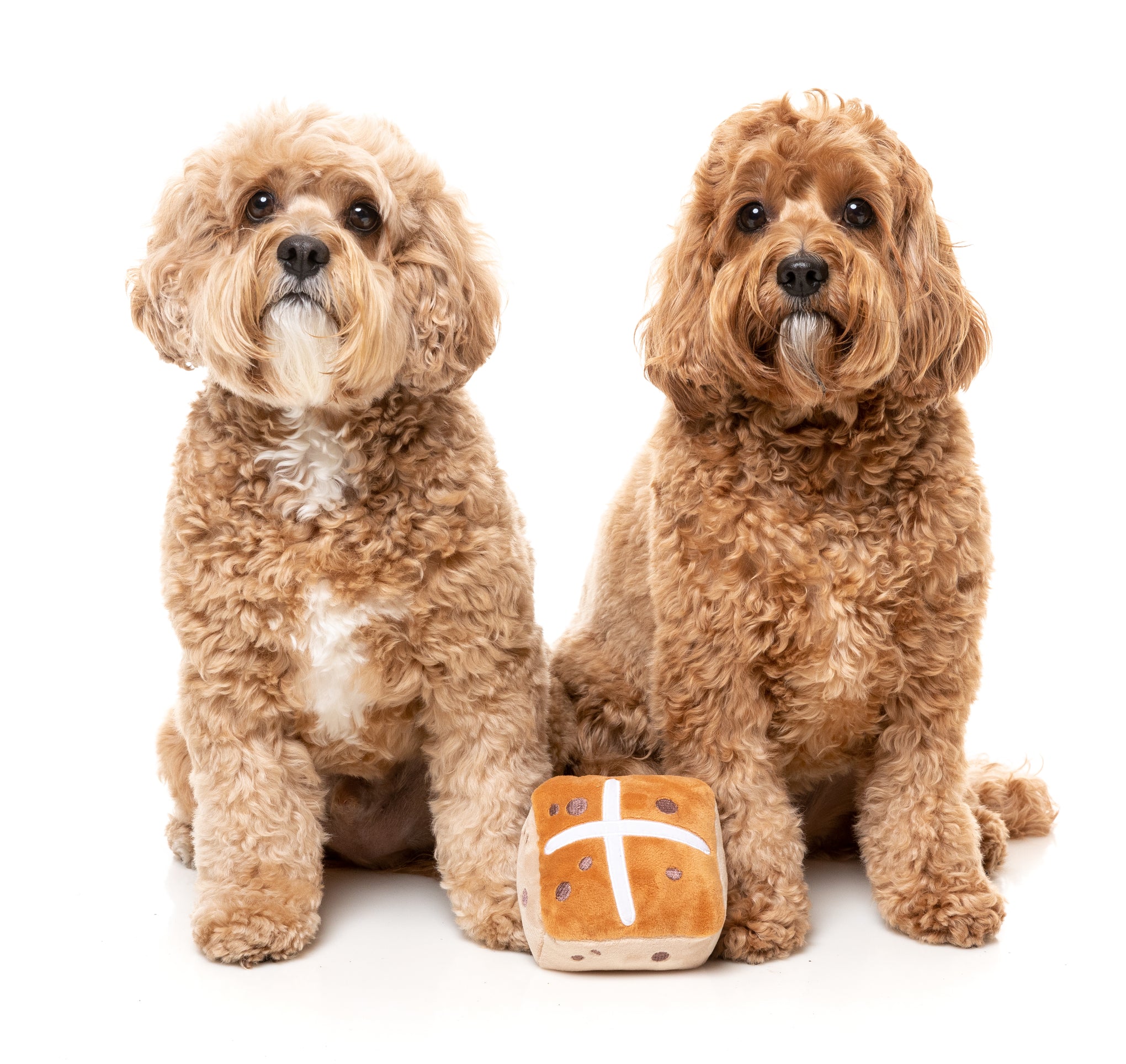FuzzYard Hot Cross Bun Dog Toy