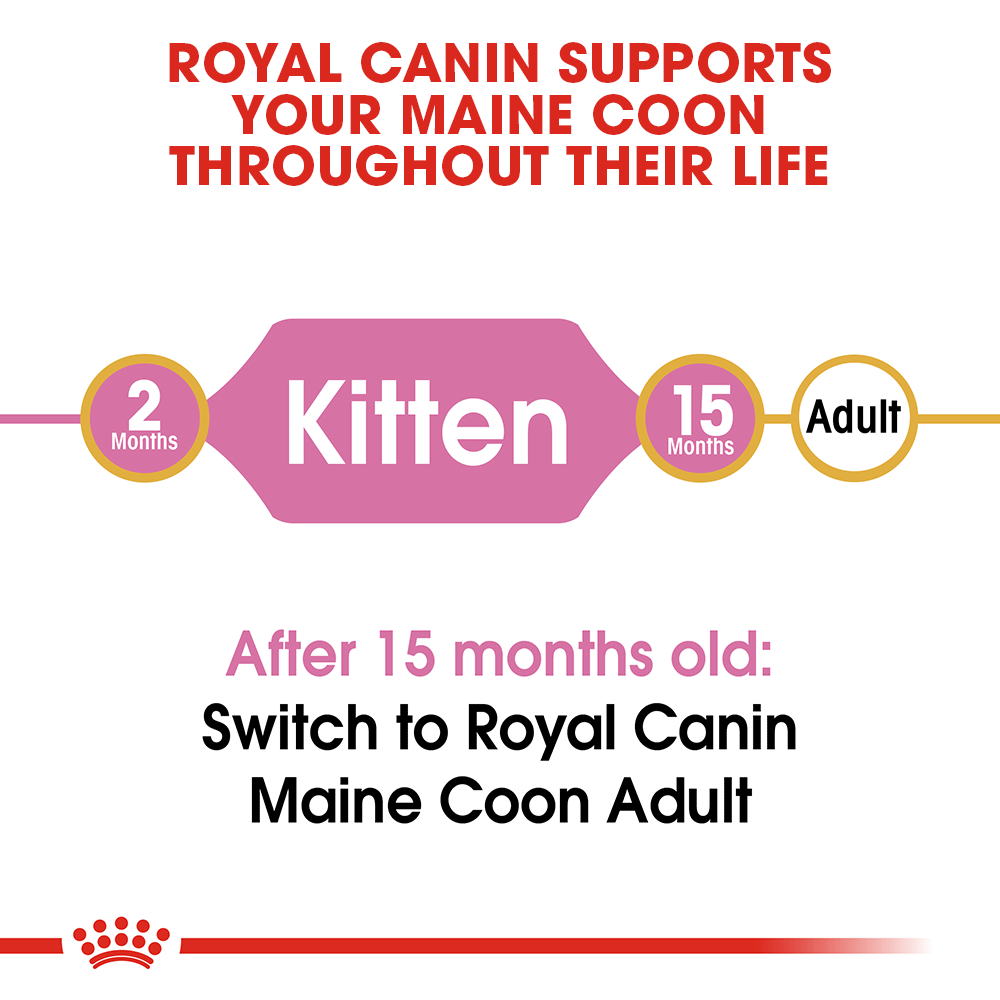 Royal Canin Cat Maine Coon Kitten Dry Food