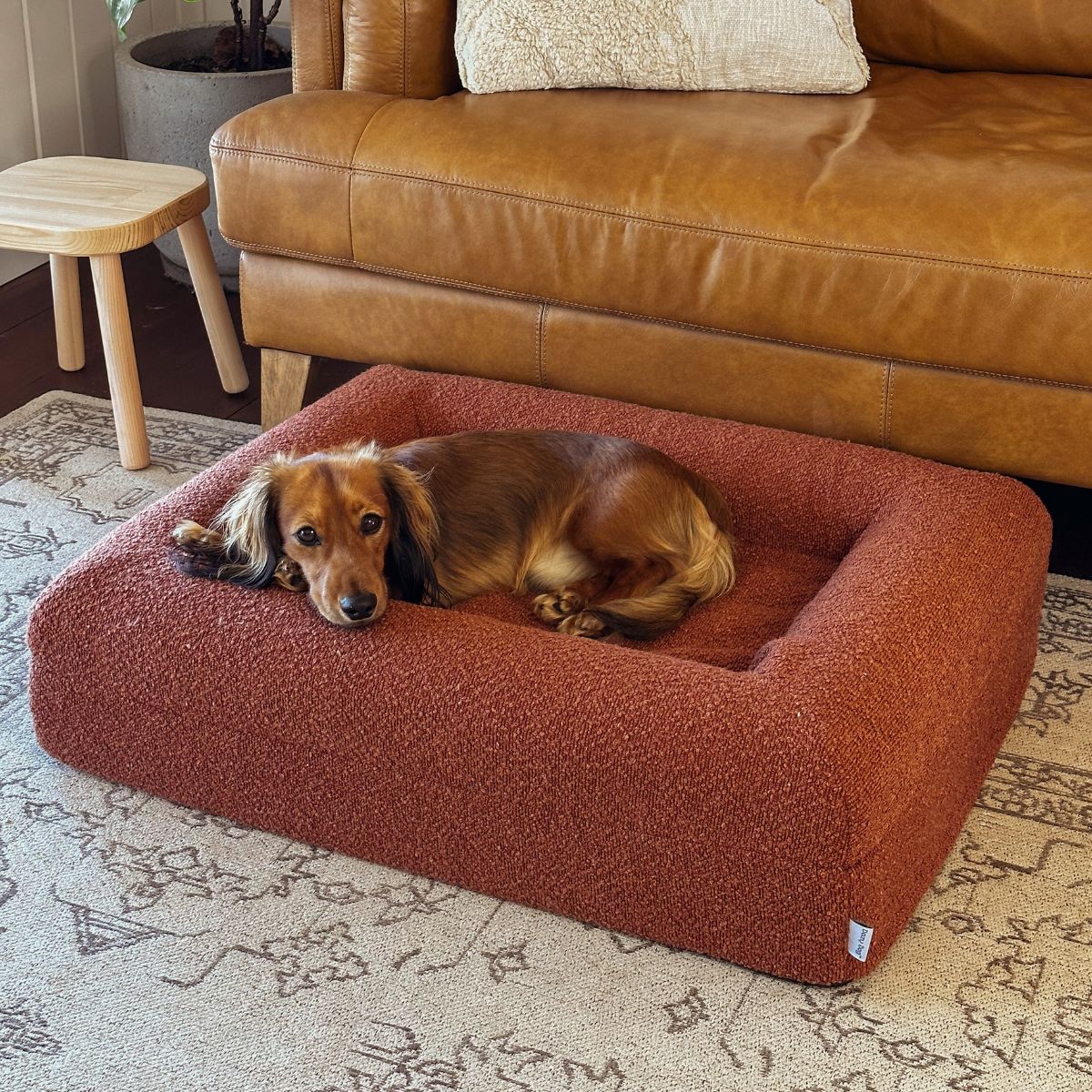 Dazy Dog Orthopaedic Memory Foam Dog Bed Terracotta Boucle